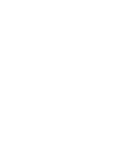 Gallery – Aethera Design